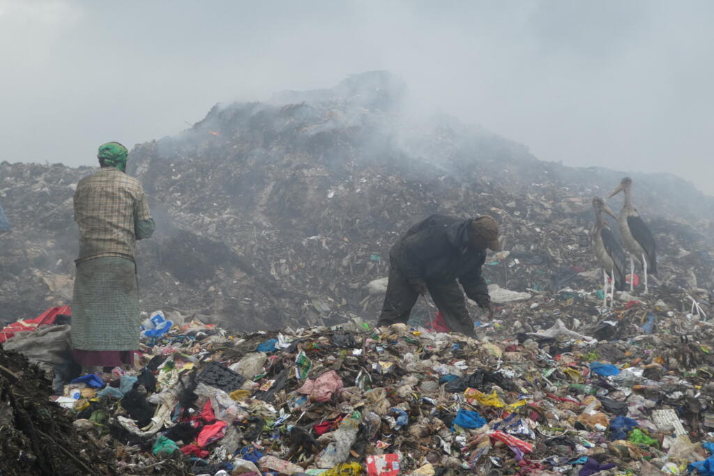 How weird fossils created by human garbage may baffle future civilisations